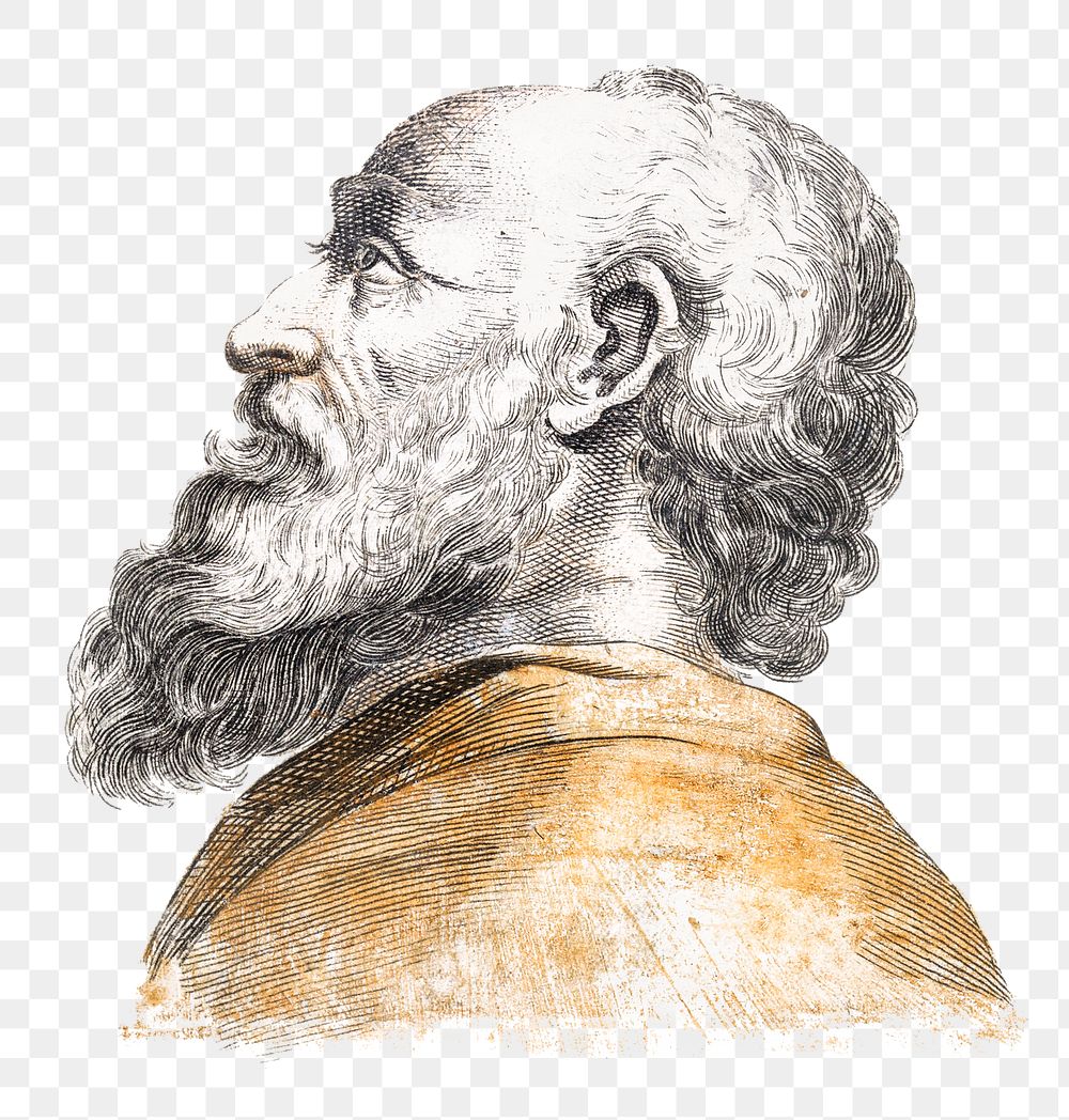 Wise Images | Free Photos, PNG Stickers, Wallpapers & Backgrounds ...