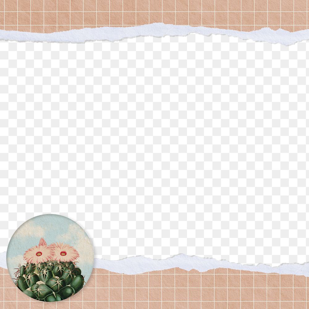 Border+des Frame Images | Free Photos, PNG Stickers, Wallpapers ...