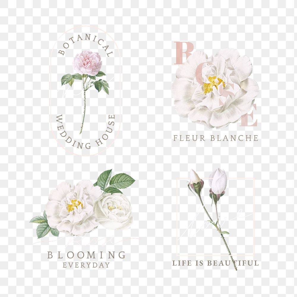 Florist branding logo collection transparent | Premium PNG - rawpixel