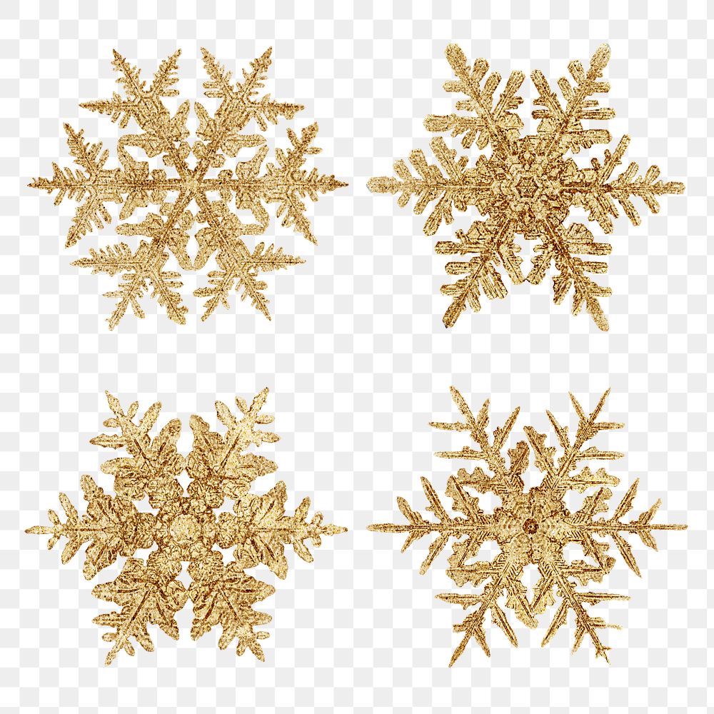 Christmas gold snowflake transparent set | Premium PNG - rawpixel