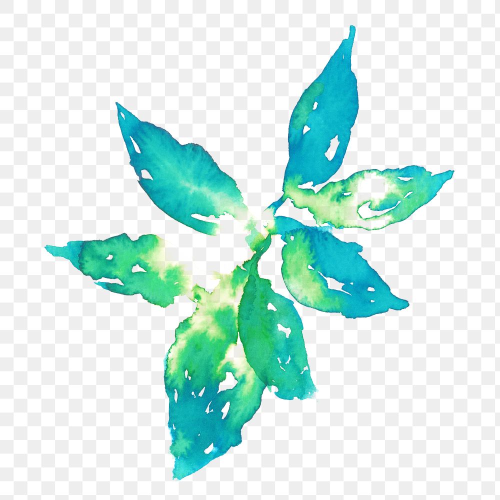 Watercolor png leaf green floral | Premium PNG Sticker - rawpixel