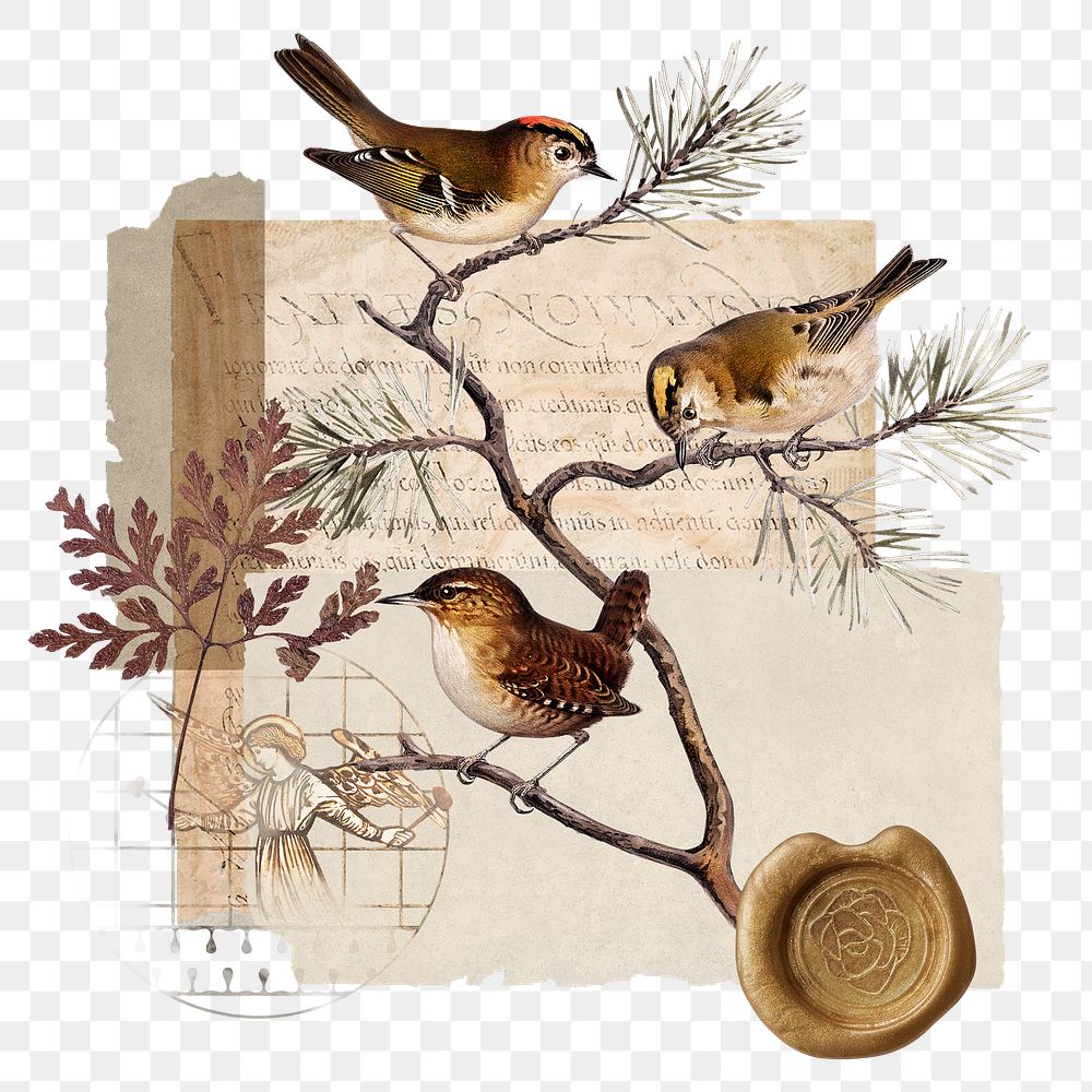 Vintage aesthetic ephemera png collage, | Premium PNG - rawpixel