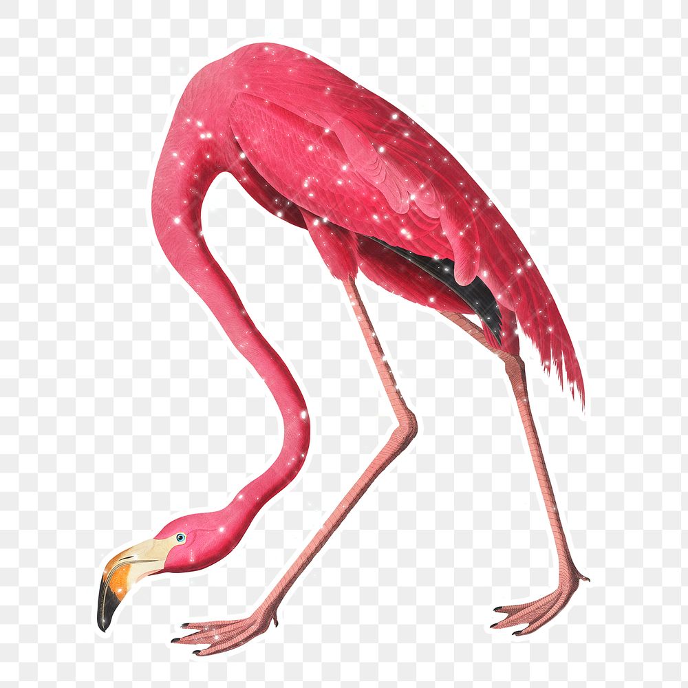 Pink flamingo with sparkles illustratiomn | Premium PNG Sticker - rawpixel