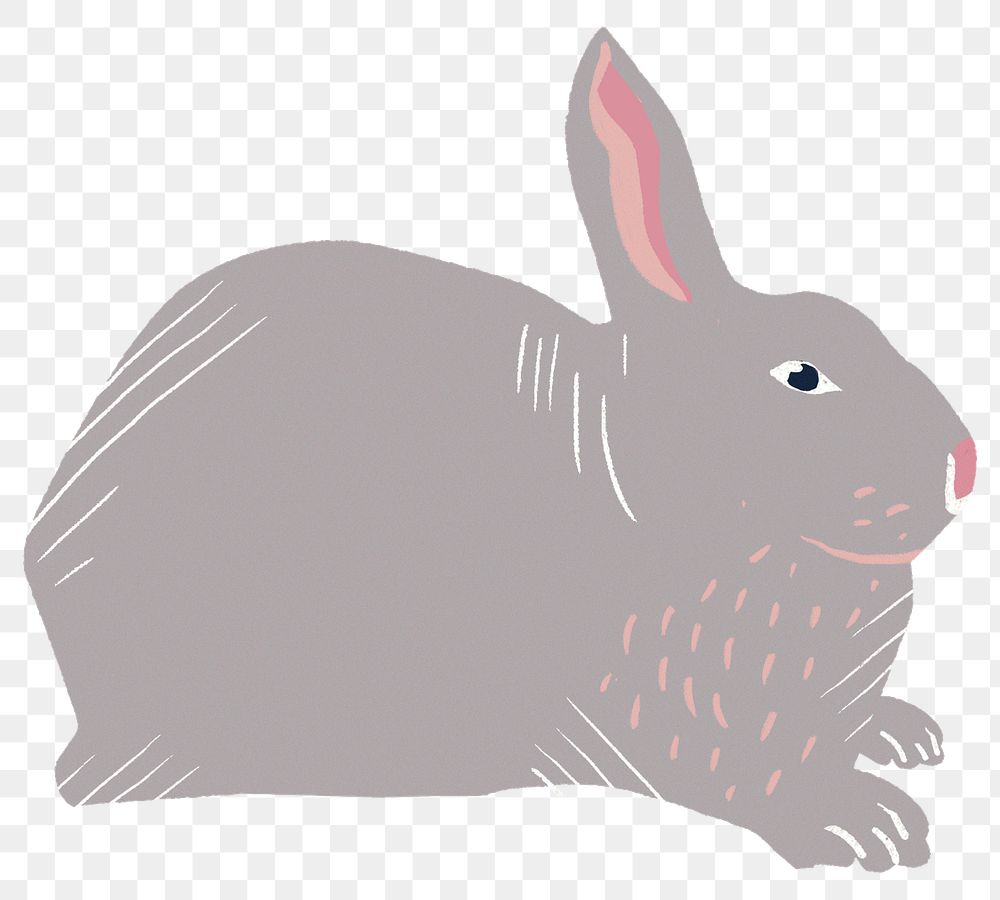 Gray rabbit animal png sticker | Premium PNG Sticker - rawpixel