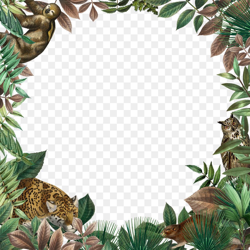 Jungle round frame png transparent | Premium PNG - rawpixel