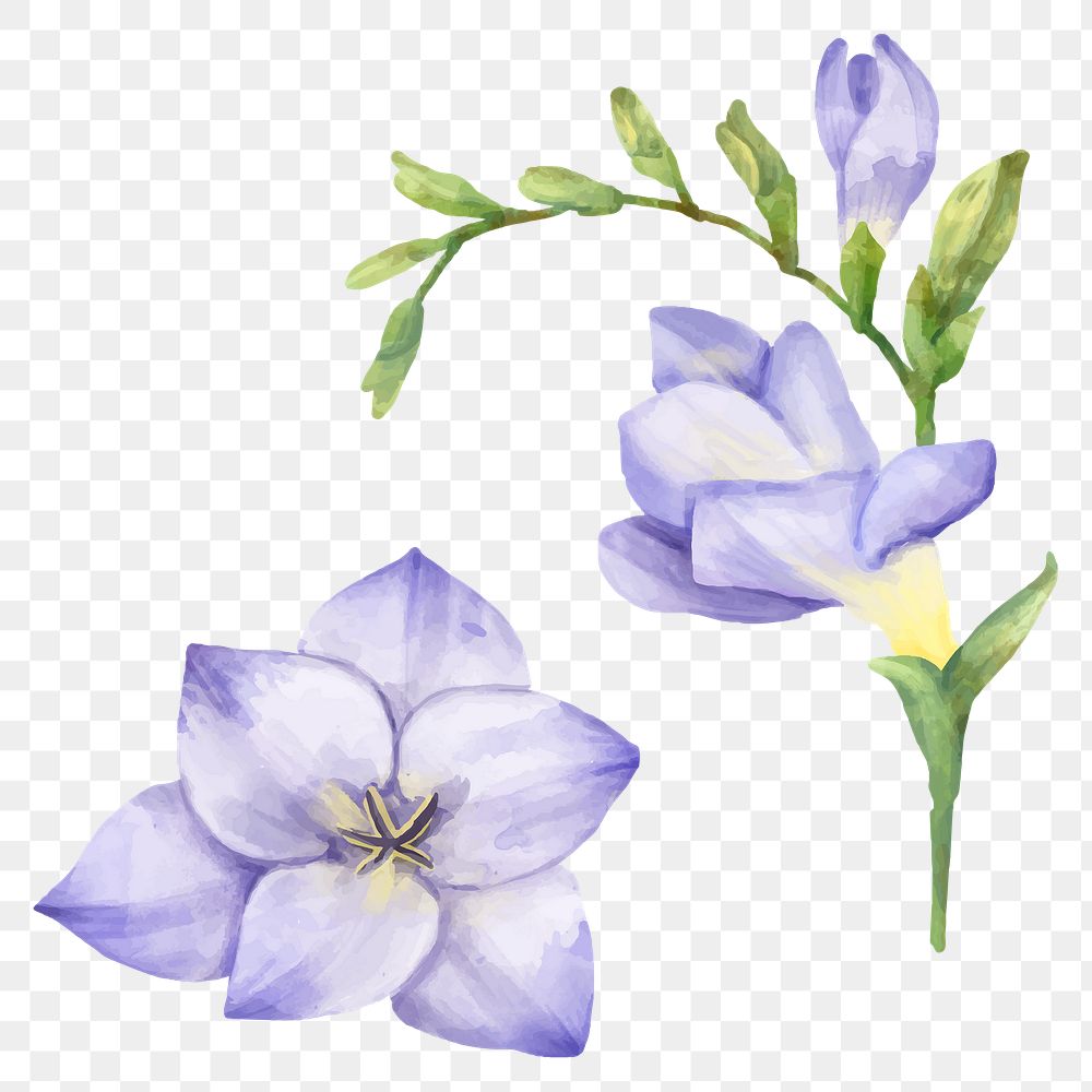 Blooming flower sticker png watercolor | Premium PNG Sticker - rawpixel