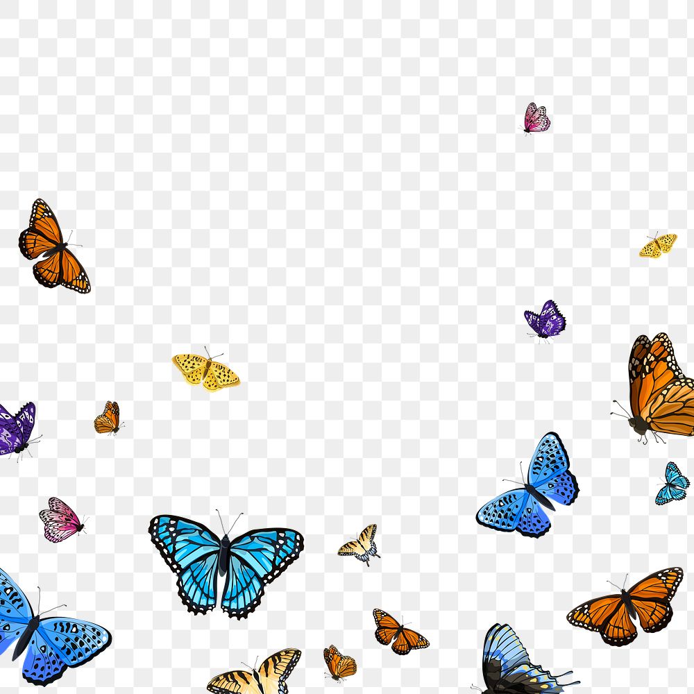 Png butterfly border transparent background | Premium PNG - rawpixel
