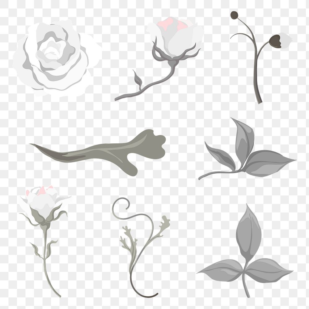 Botanical png stickers, transparent background | Premium PNG - rawpixel