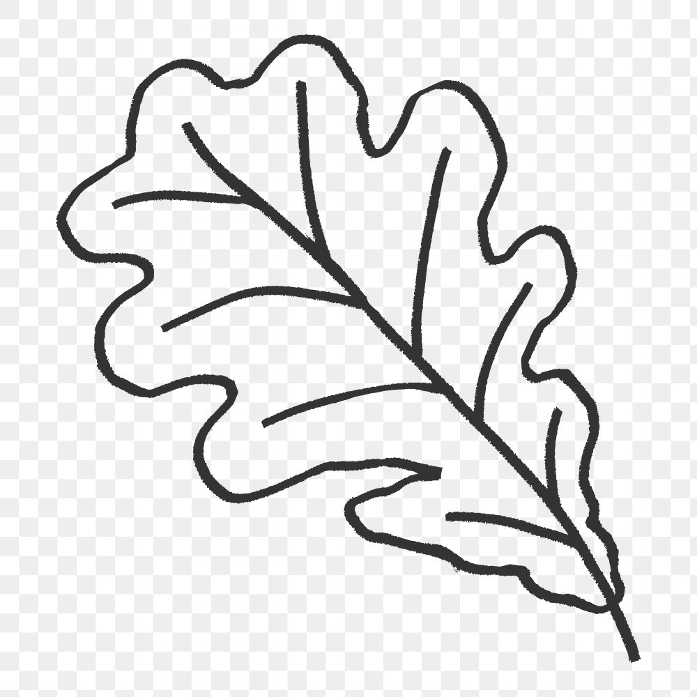 Png oak tree leaf sticker, | Premium PNG - rawpixel