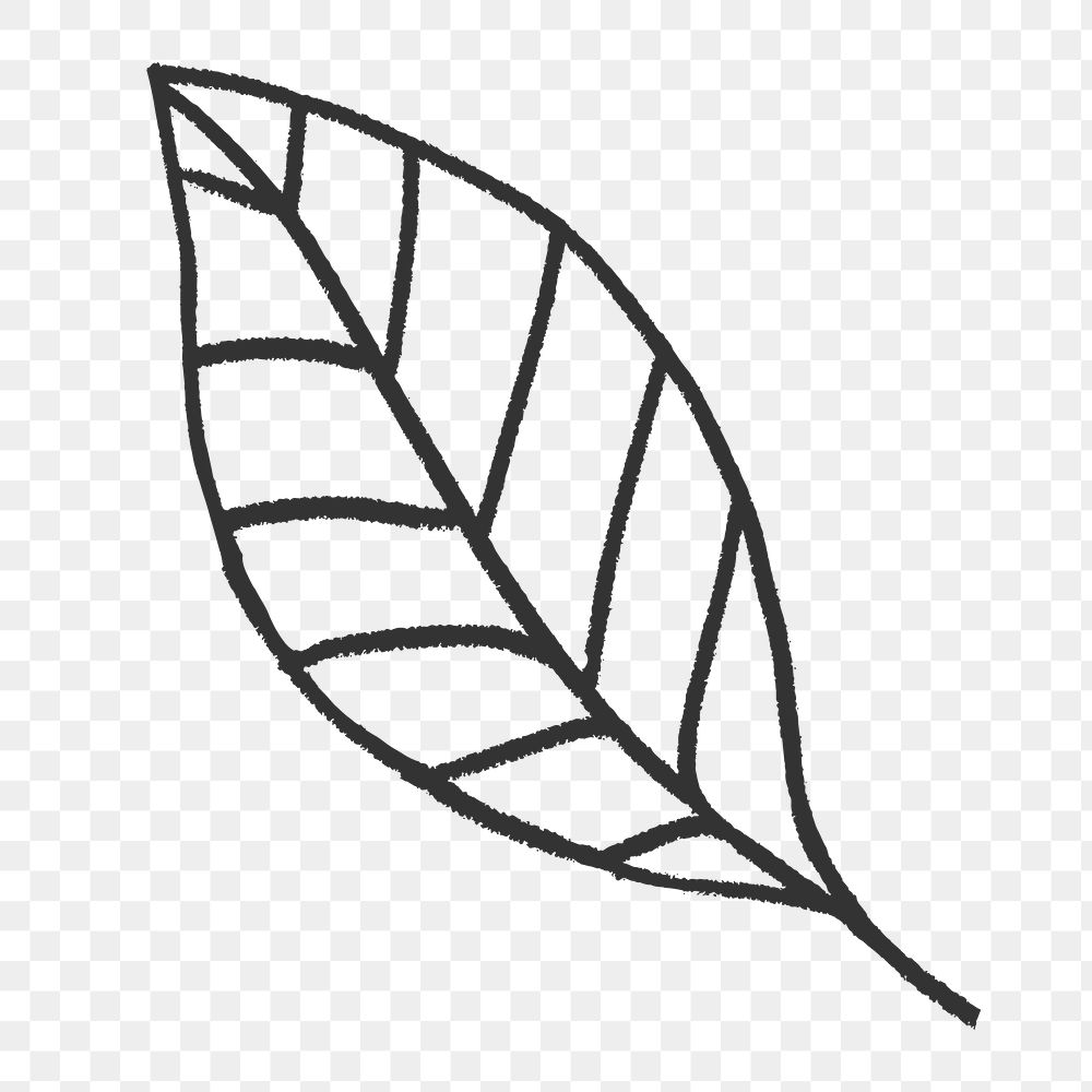 Png ash tree leaf collage | Premium PNG - rawpixel
