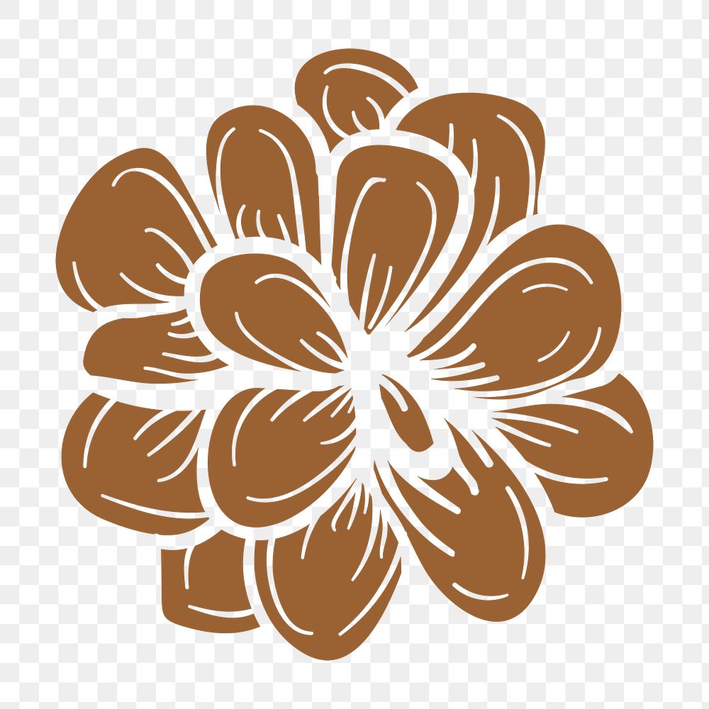 Pinyon pine cone sticker design | Premium PNG Sticker - rawpixel