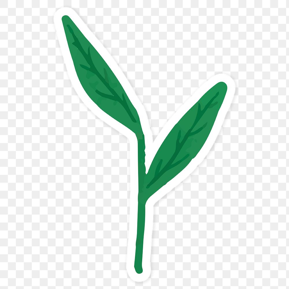 Green leaves sticker transparent png | Premium PNG Sticker - rawpixel