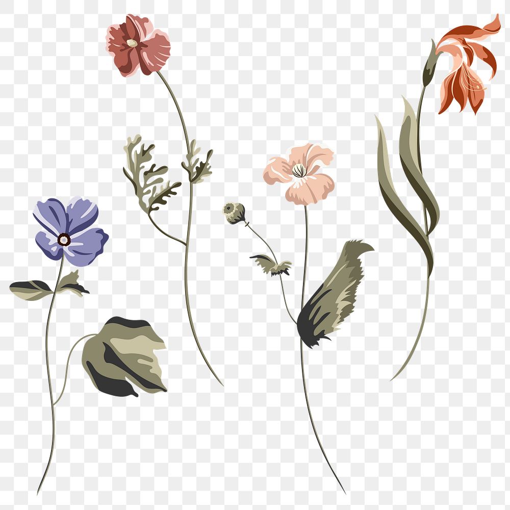 Blooming flowers design element set | Premium PNG - rawpixel