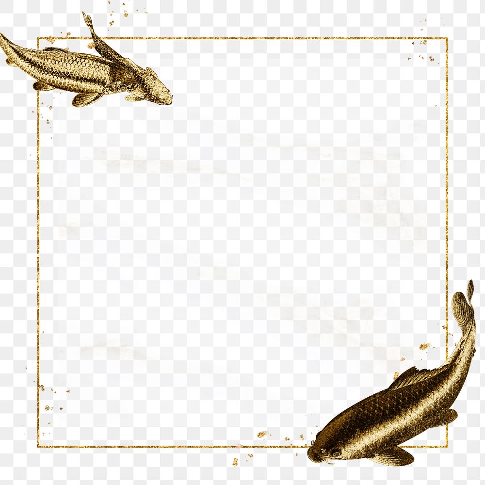 Golden carp fish frame design | Free PNG - rawpixel