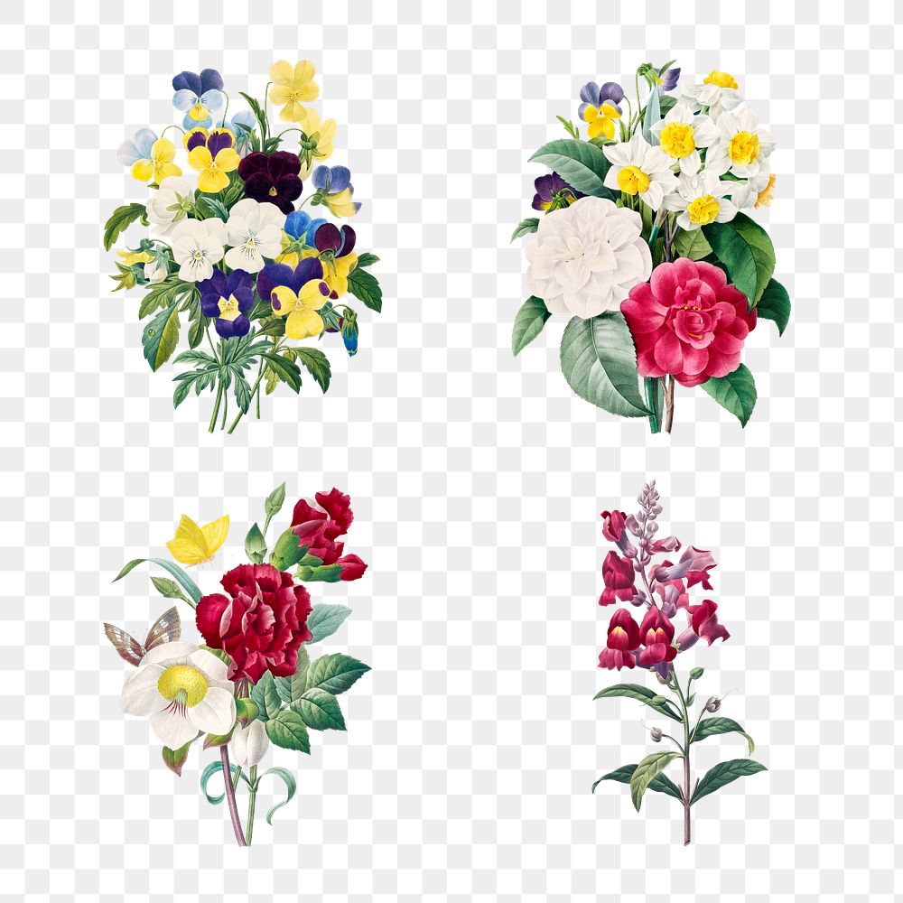 Botanical png flower illustration set, | Premium PNG - rawpixel