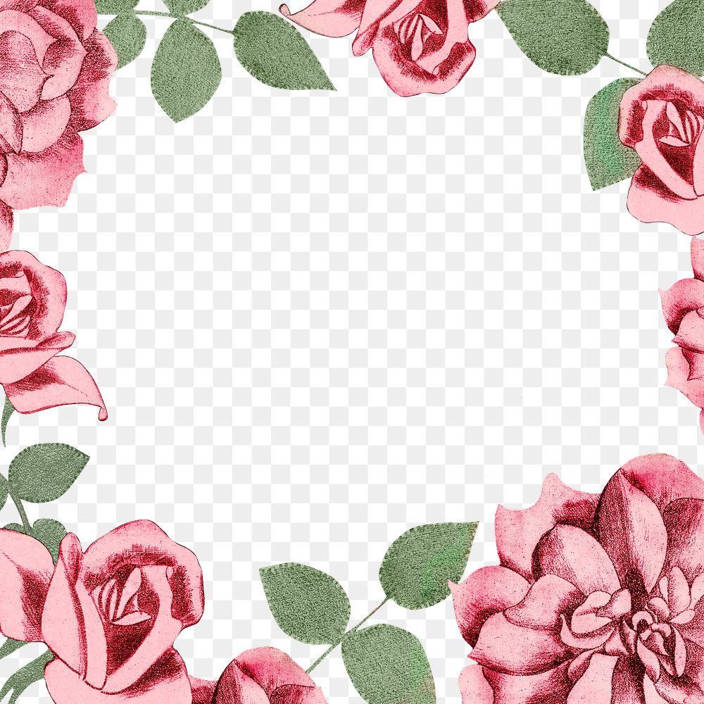 Vintage pink roses frame png | Free PNG - rawpixel