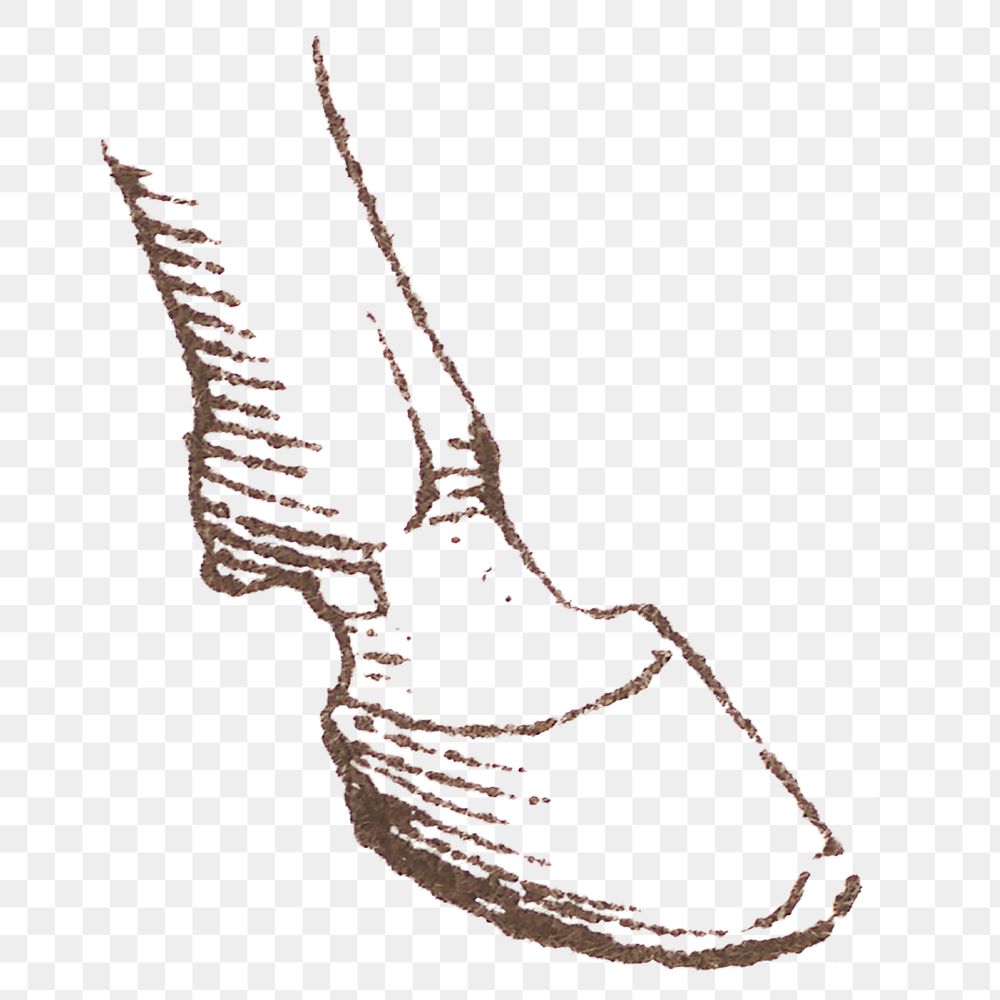 Old png horse hoof hand | Free PNG Sticker - rawpixel