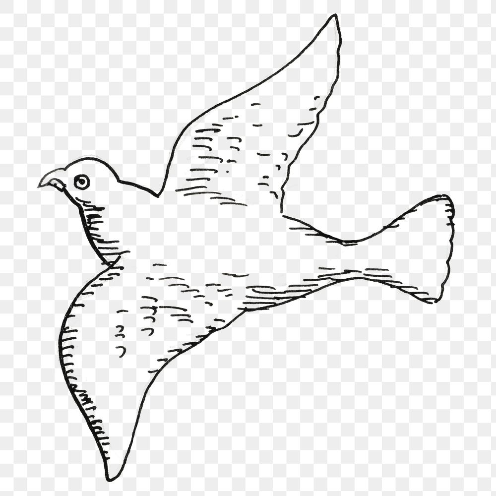 Vintage dove png hand drawn | Free PNG Sticker - rawpixel