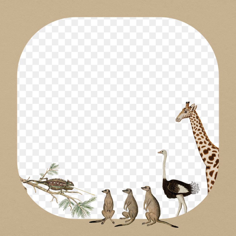 Animal frame png wildlife colored | Free PNG - rawpixel