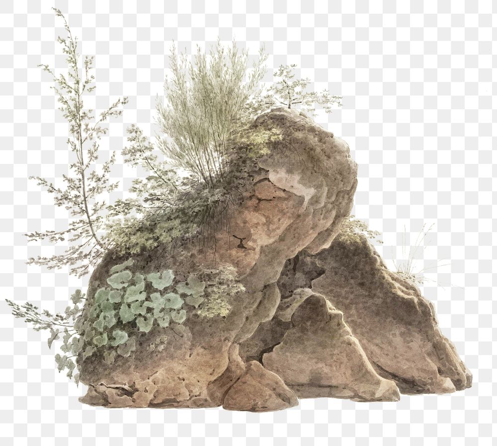 Hand drawn watercolor overgrown rocks | Premium PNG Sticker - rawpixel