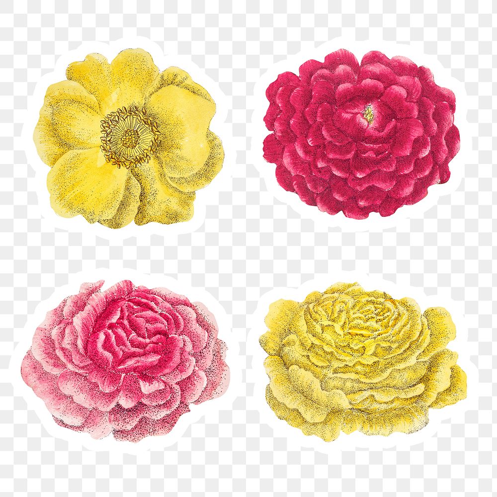 Vintage Flower Sticker Collection | Premium Png - Rawpixel