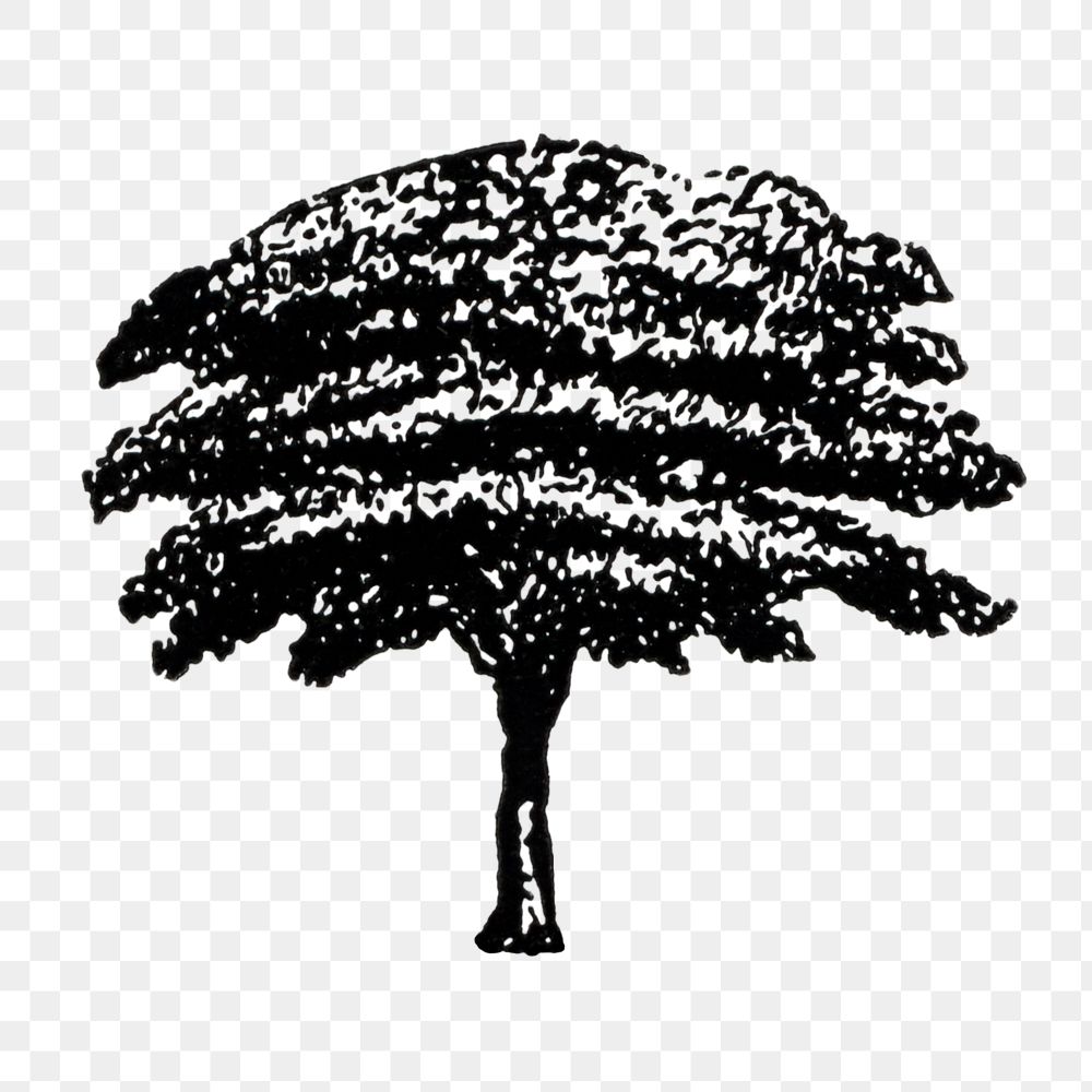 Tree sticker png, hand drawing | Premium PNG - rawpixel