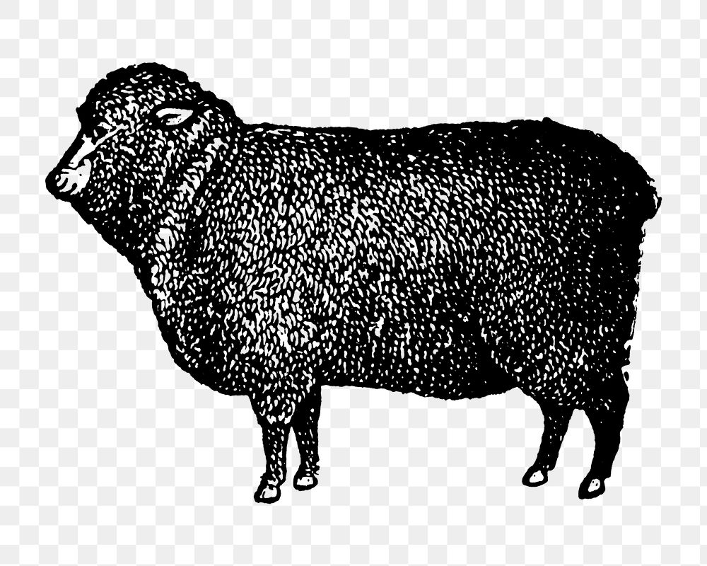 Sheep sticker png, black ink | Premium PNG - rawpixel