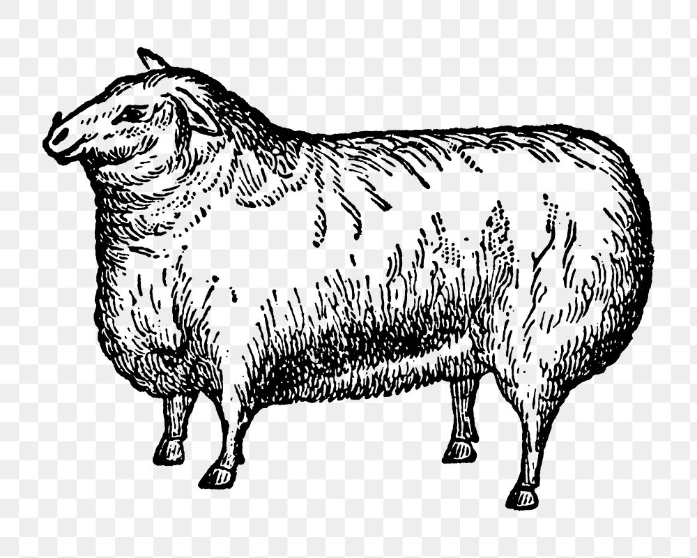 Sheep sticker png, black ink | Premium PNG - rawpixel