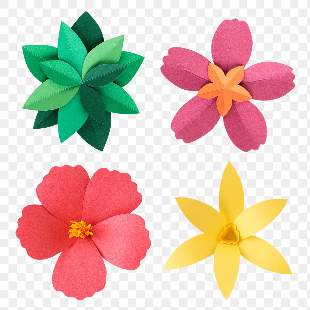 3D paper flower png set | Premium PNG - rawpixel