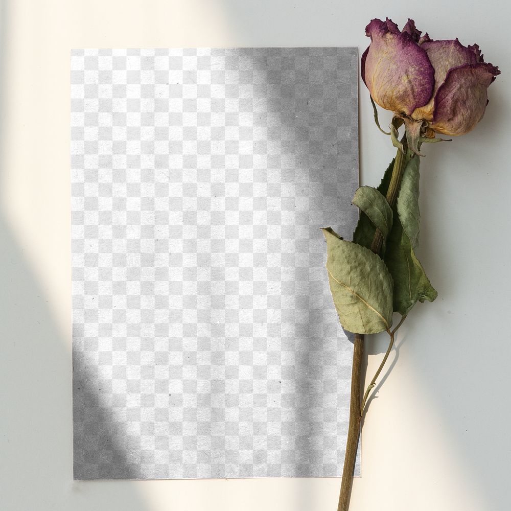 Dried pink rose with a card | Free PNG - rawpixel