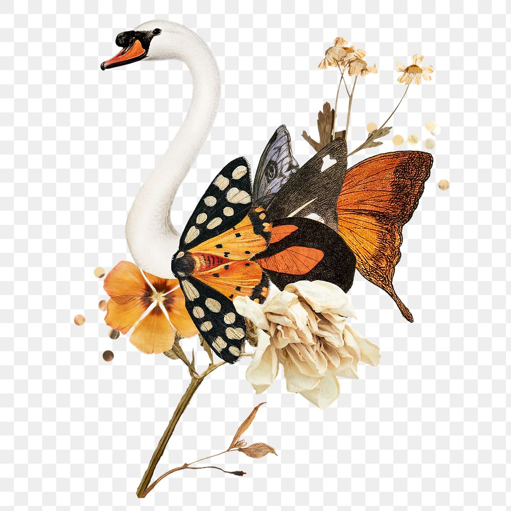 Swan collage sticker png, animal | Premium PNG Sticker - rawpixel