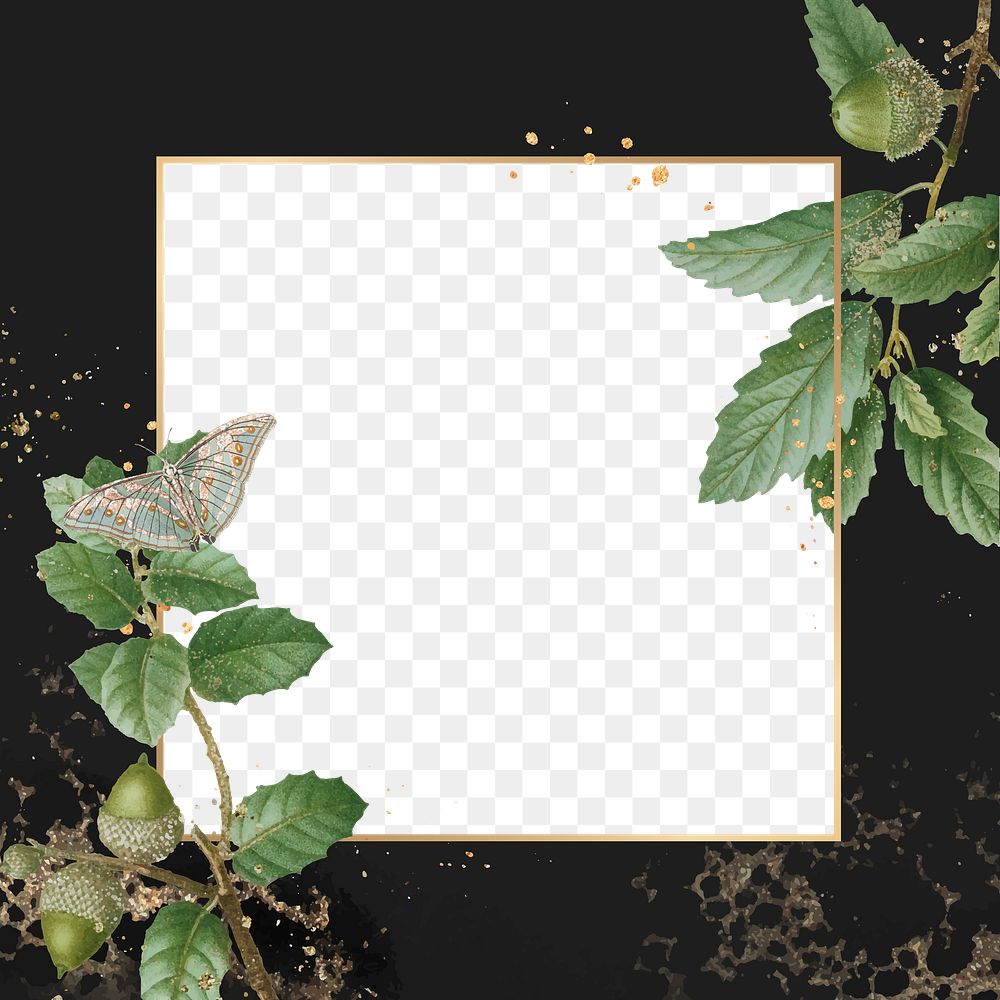 Botanical frame png oak leaf | Free PNG - rawpixel