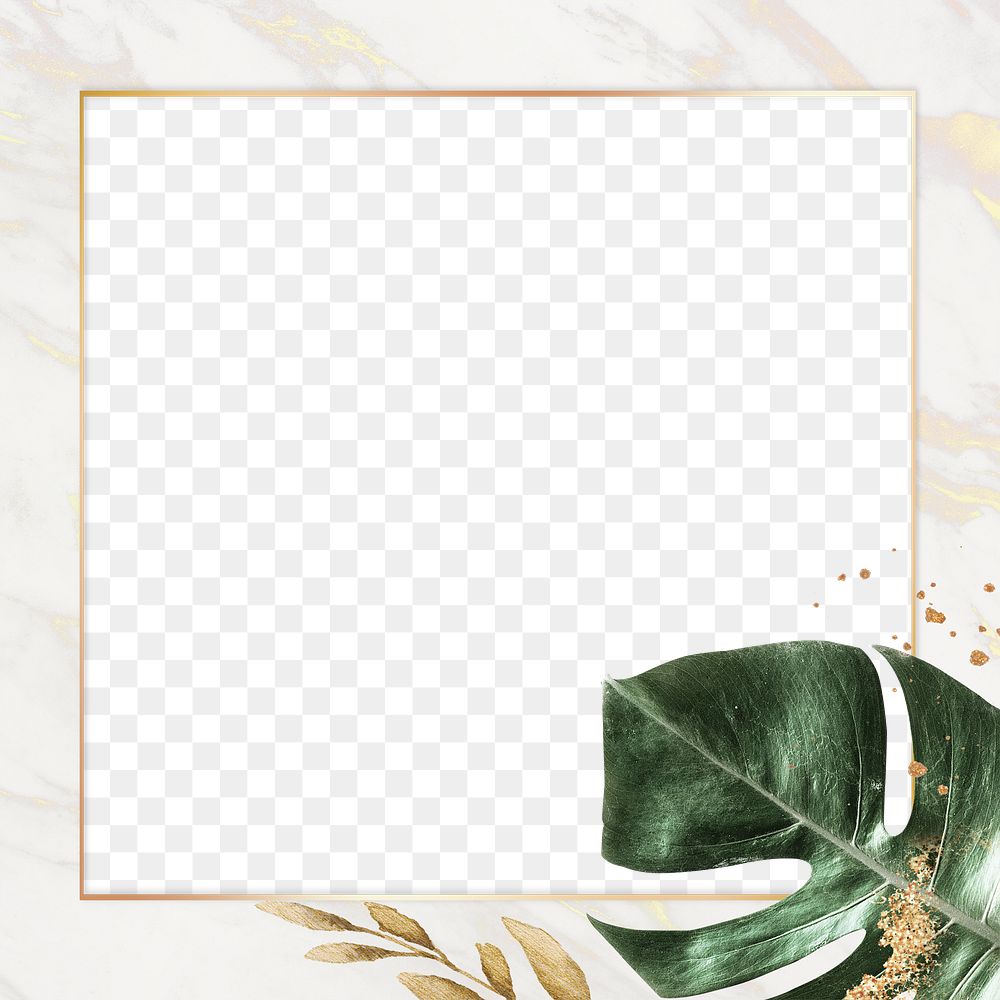 Monstera Border Images | Free Photos, PNG Stickers, Wallpapers ...