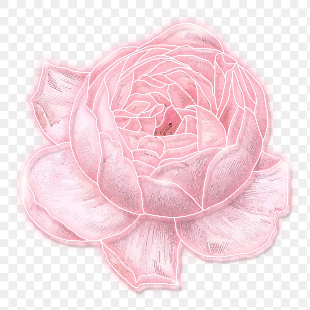 Pink neon rose transparent png | Premium PNG Sticker - rawpixel