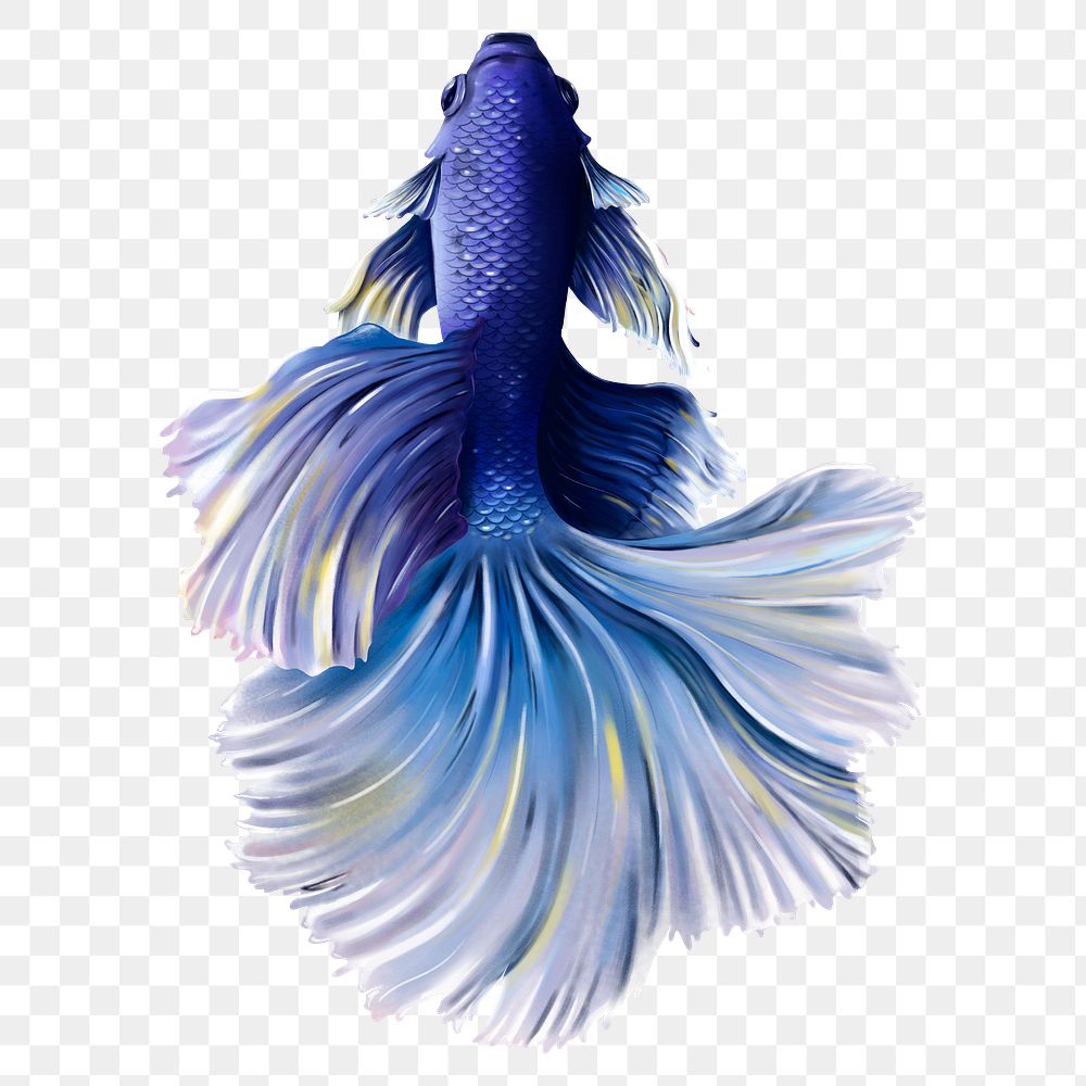 Indigo betta fish design element | Premium PNG Sticker - rawpixel