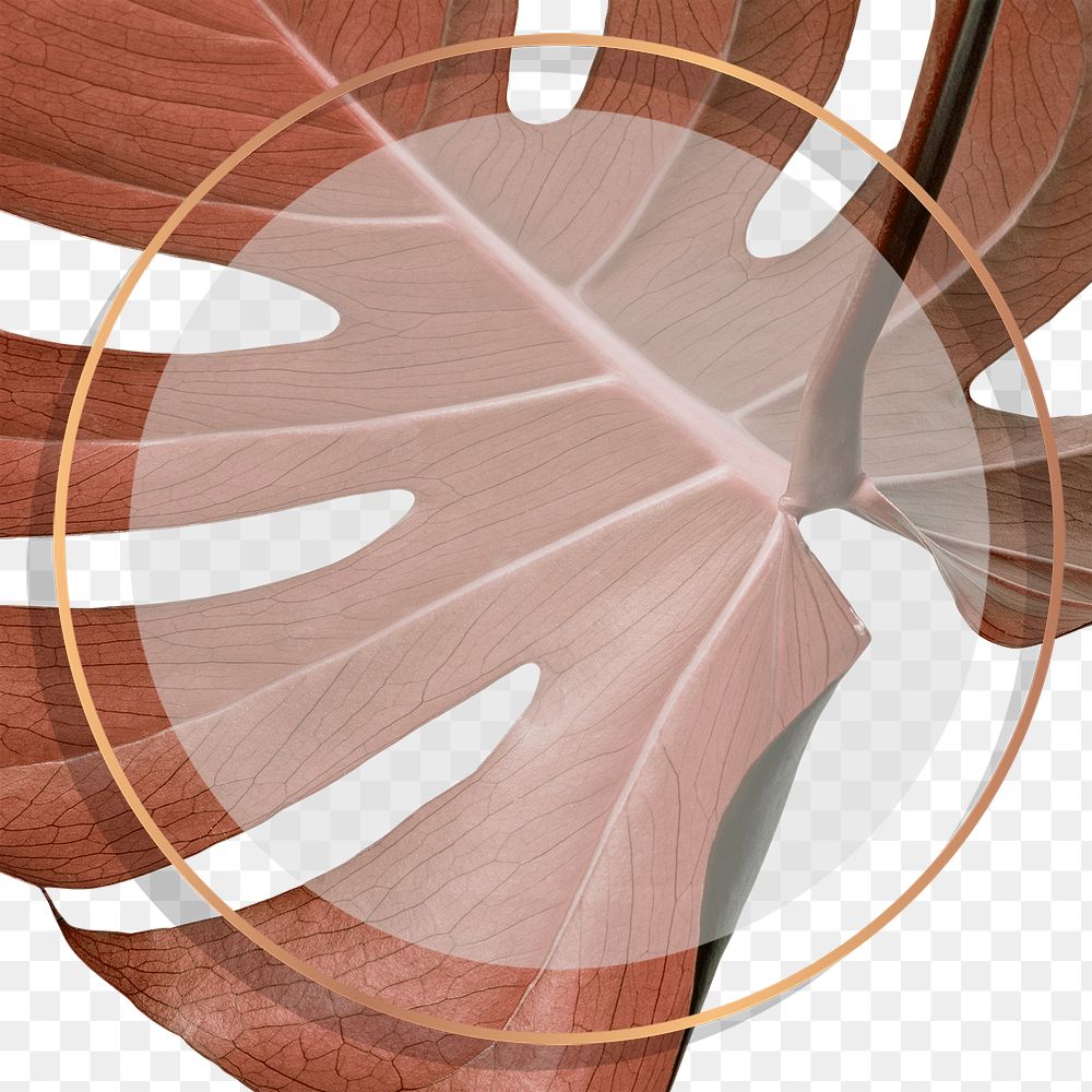 Golden round monstera frame design | Free PNG - rawpixel