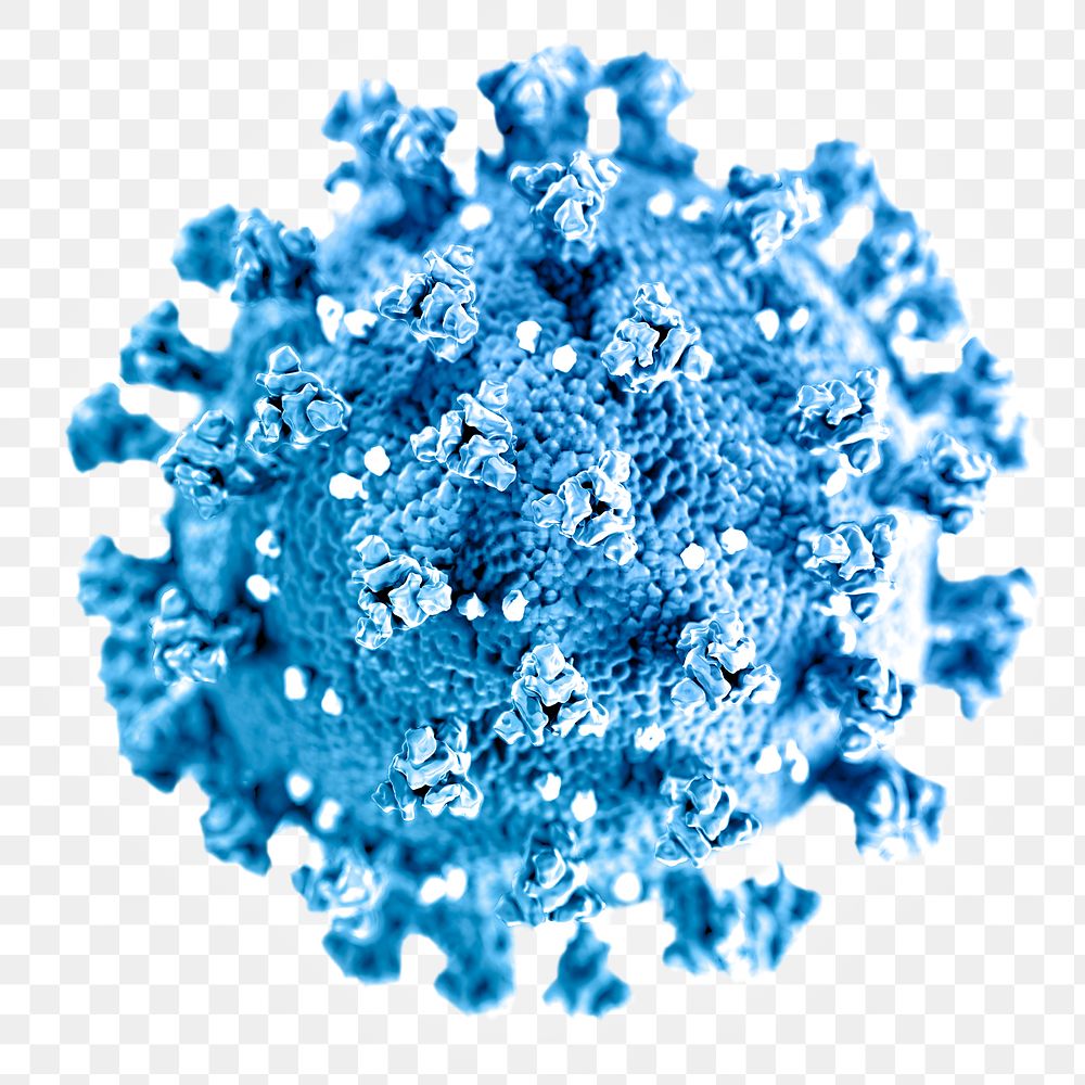 Ultrastructural illustration of coronavirus transparent | Free PNG ...