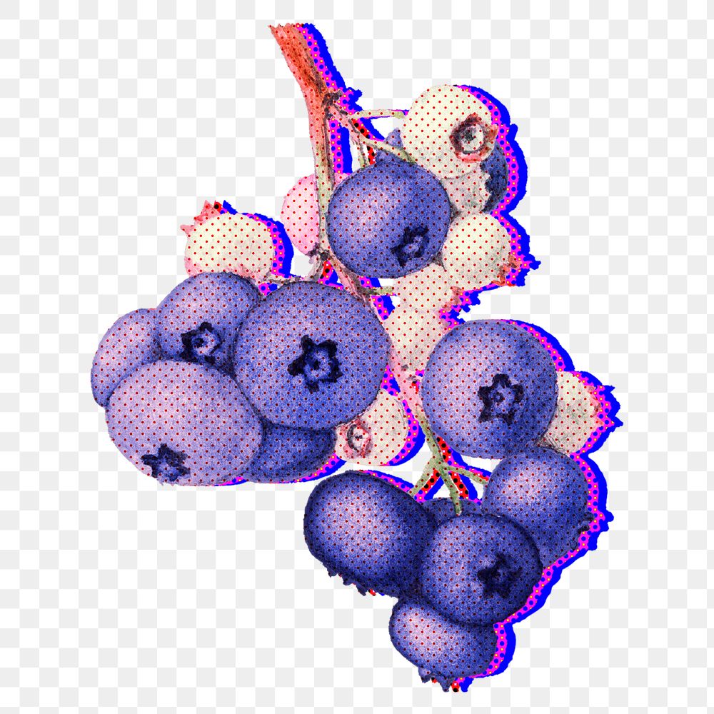 Funky neon halftone blueberry branch | Free PNG Sticker - rawpixel