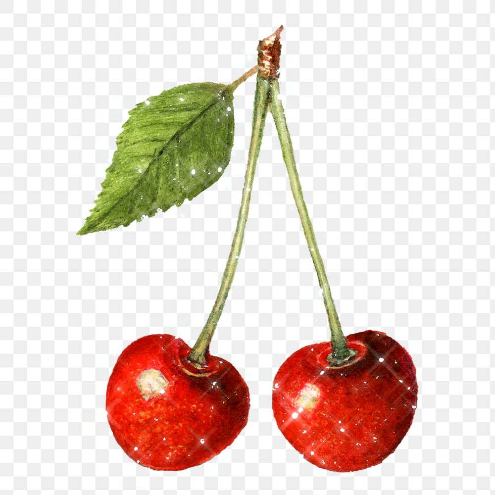 Hand drawn sparkling cherries design | Free PNG Sticker - rawpixel