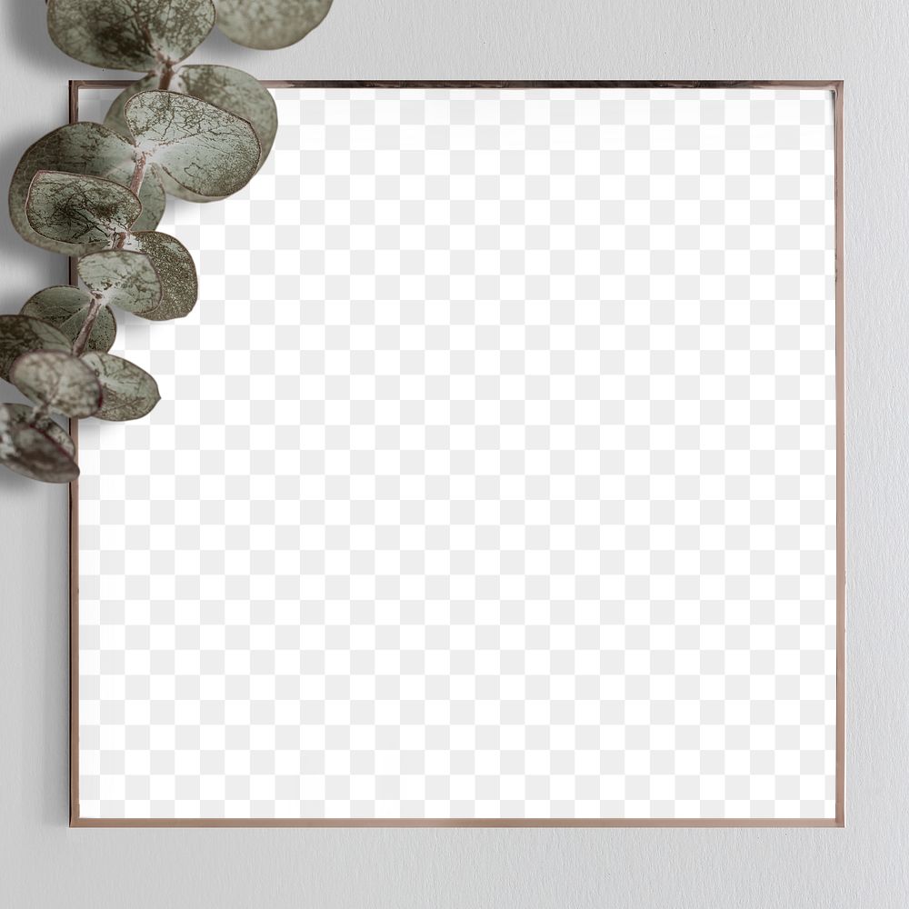 Eucalyptus gold frame png transparent | Free PNG - rawpixel