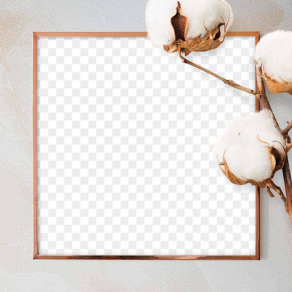 PNG cotton flower natural frame | Premium PNG - rawpixel