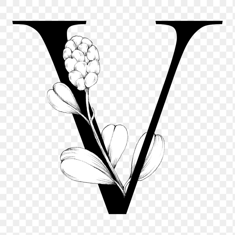 Floral V Letter Black And White Images | Free Photos, PNG Stickers ...