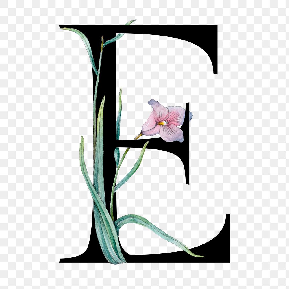 Png alphabet e sticker font | Free PNG Sticker - rawpixel