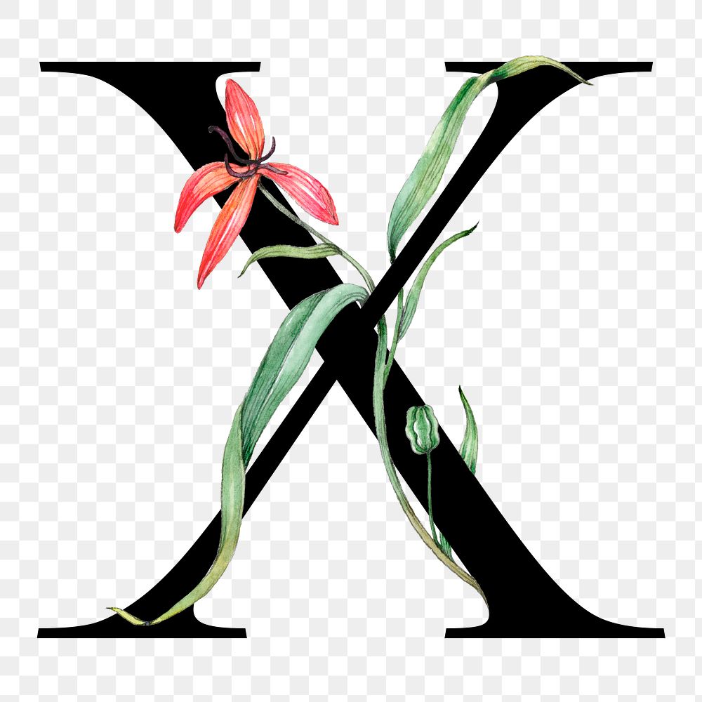 Png alphabet x sticker font | Free PNG Sticker - rawpixel