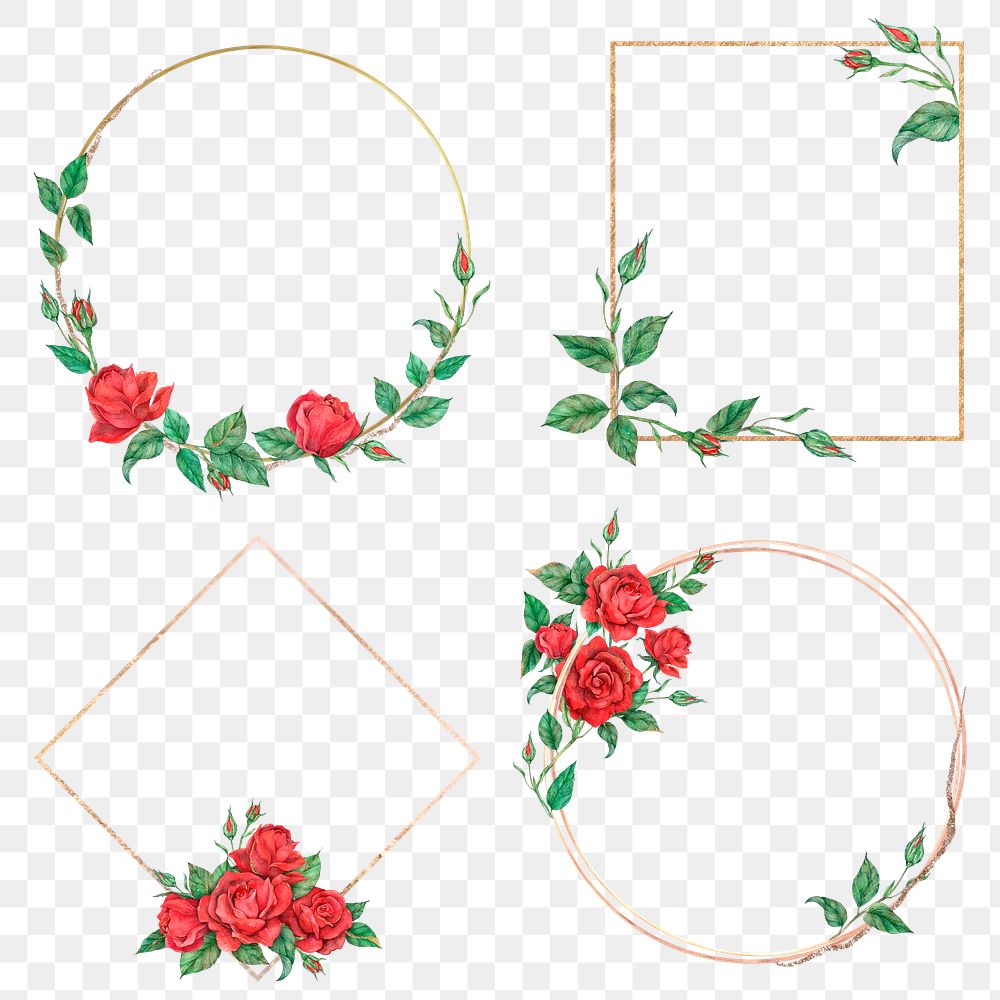 Gold frame red roses png | Premium PNG - rawpixel