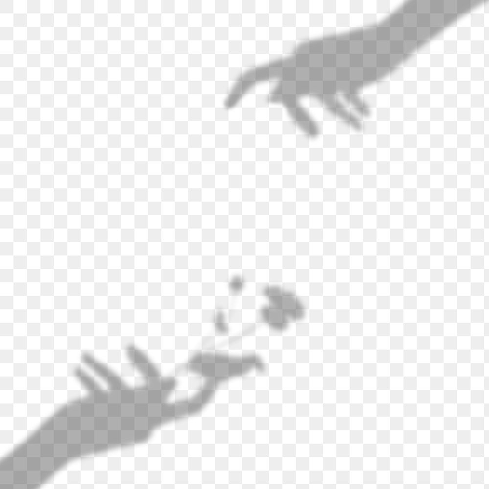 PNG flower in hand shadow | Premium PNG - rawpixel