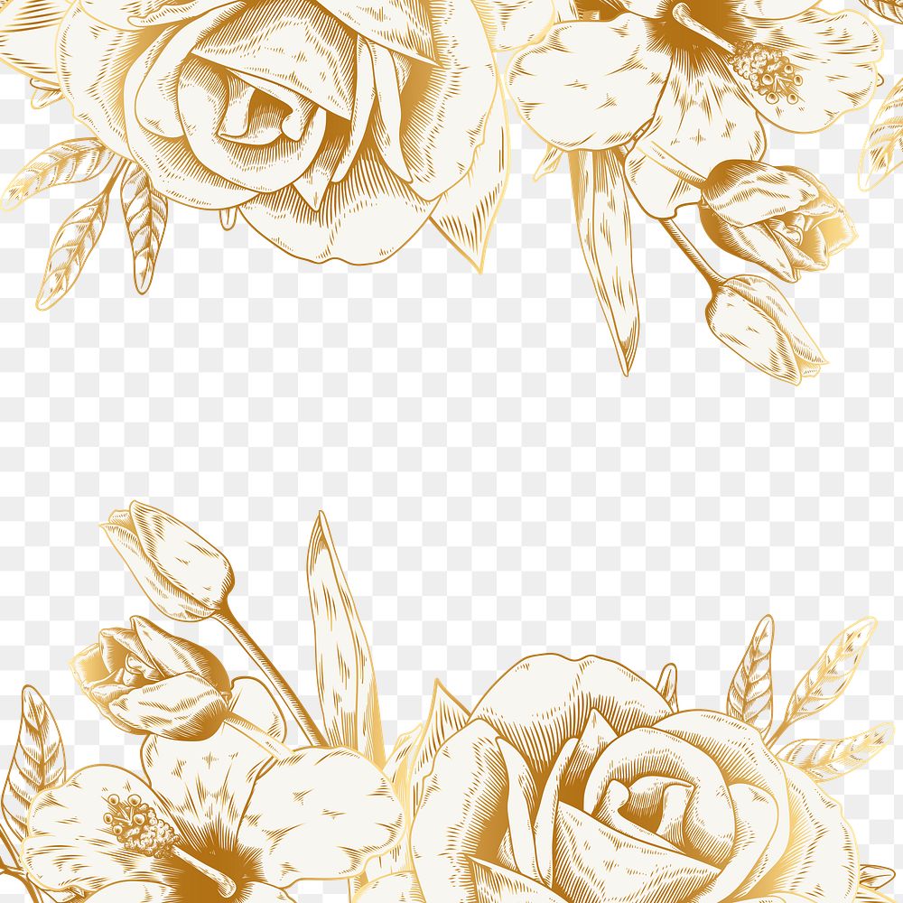 Hand drawn gold rose border | Premium PNG - rawpixel