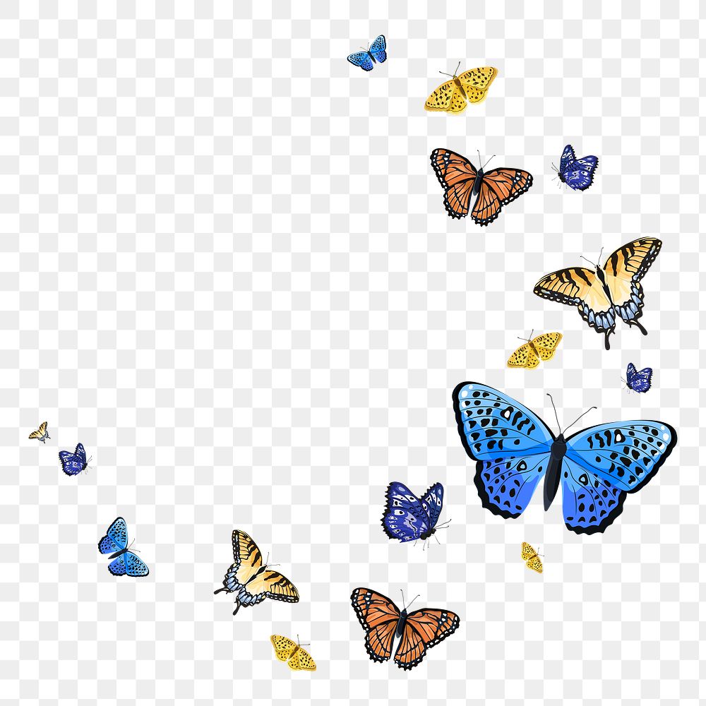 Butterfly png border frame sticker, | Premium PNG Sticker - rawpixel
