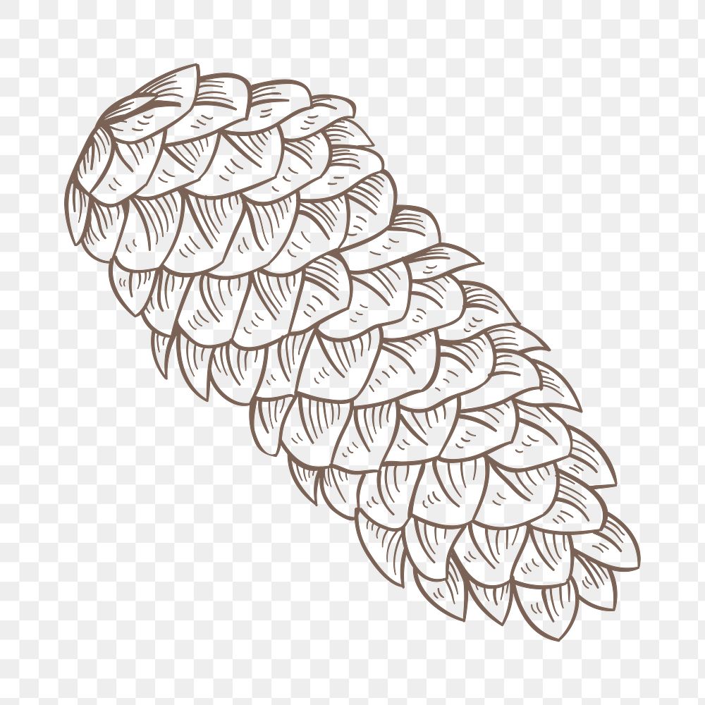 Sugar pine cone sticker design | Free PNG Sticker - rawpixel