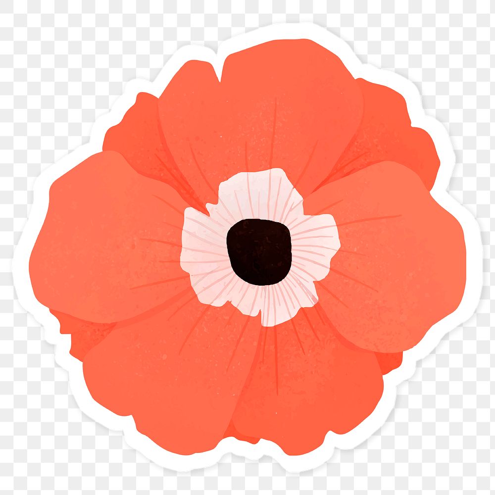 Red poppy flower sticker transparent | Premium PNG Sticker - rawpixel